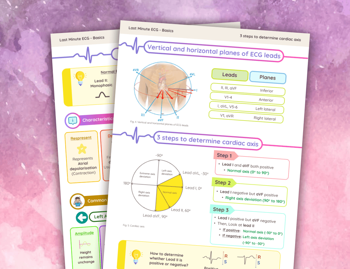 Study Resources | Clinical Owl